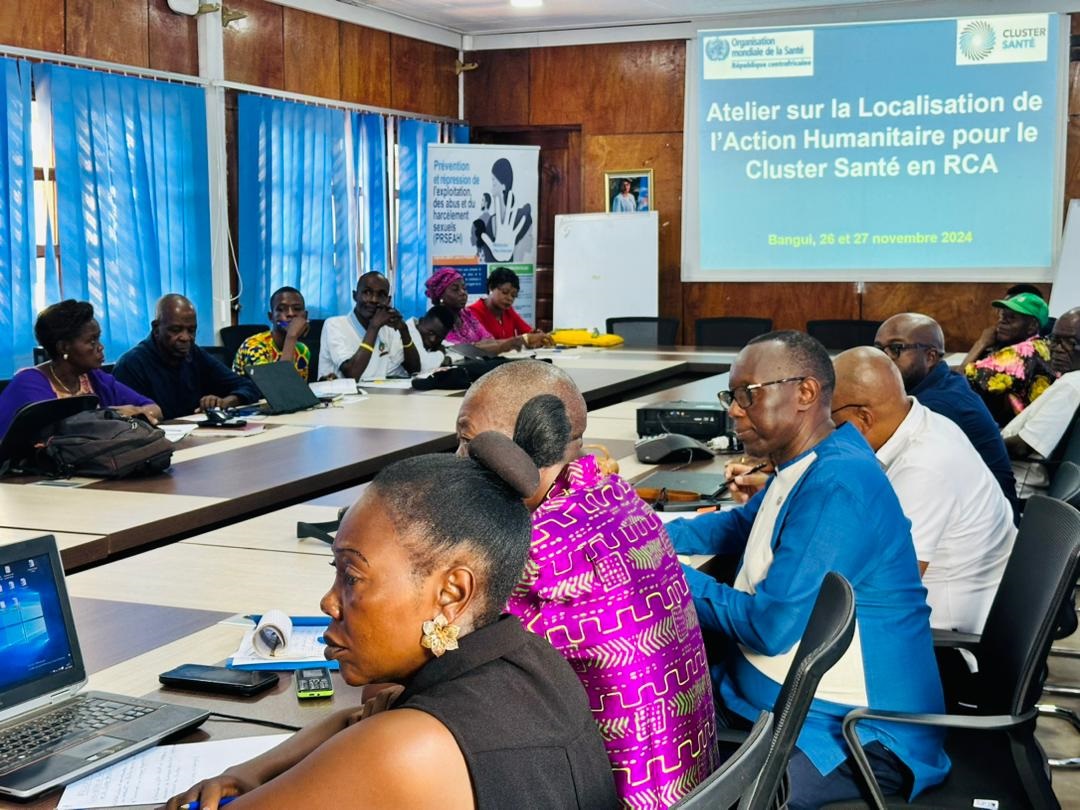 Local and national actors join forces with the Health Cluster in the ...